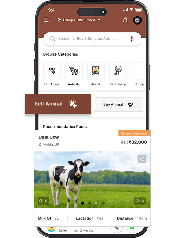 Cattle Sale & Purchase App | Buy & Sell Livestock Easily